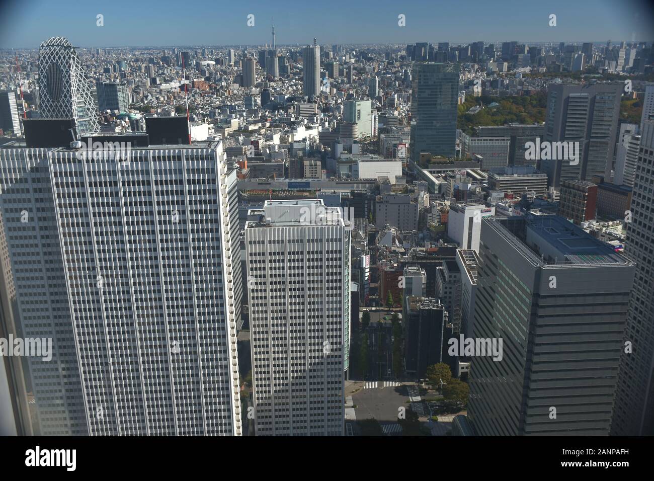 Landscape of Tokyo in Japan Stock Photo - Alamy