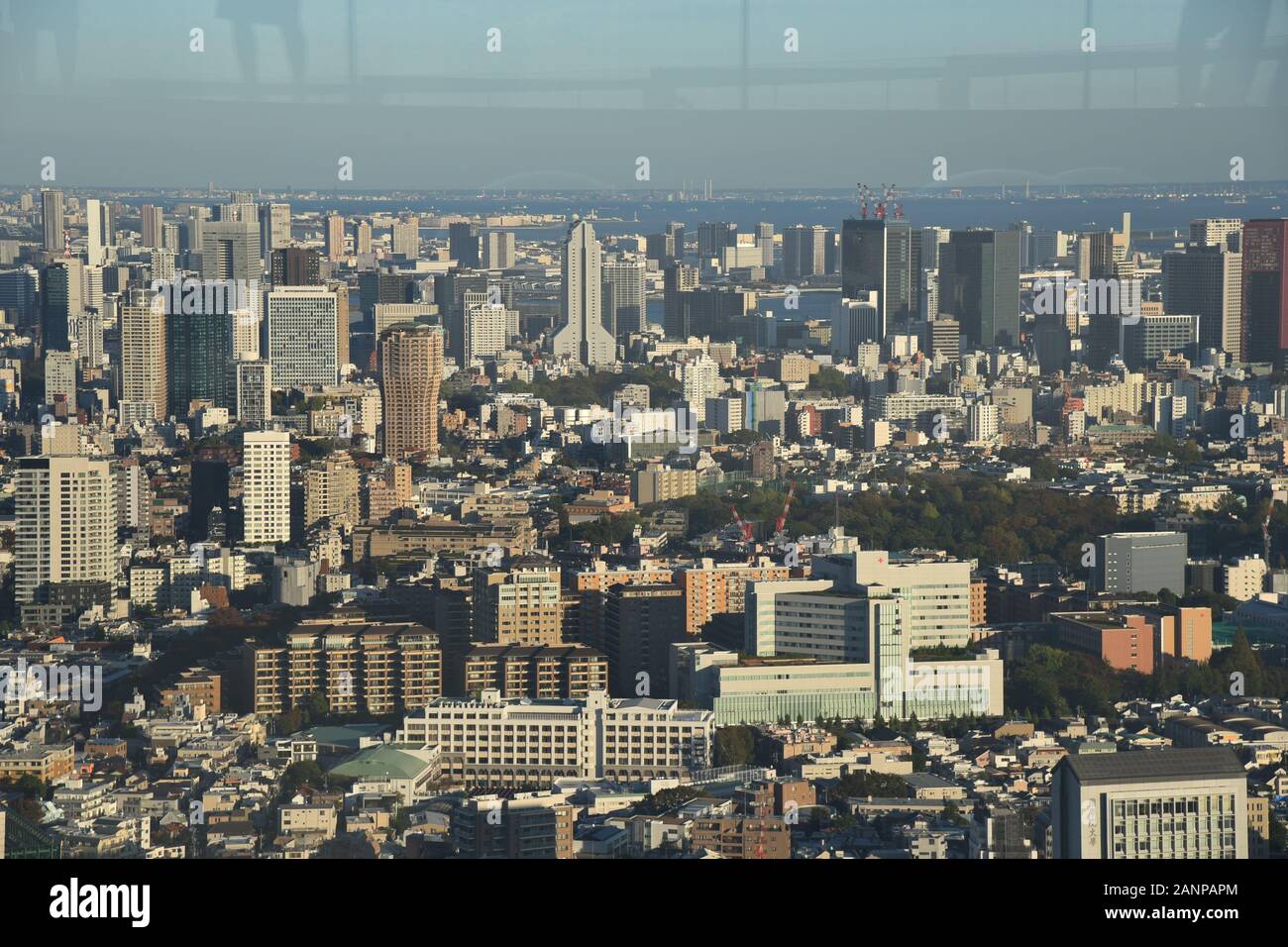 Landscape of Tokyo in Japan Stock Photo - Alamy