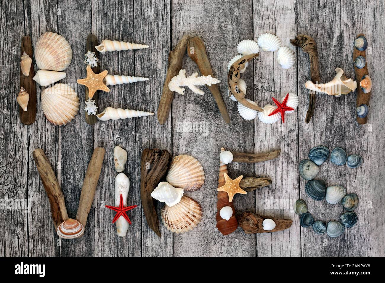 Abstract of driftwood, seashells and pebbles forming the word beach ...