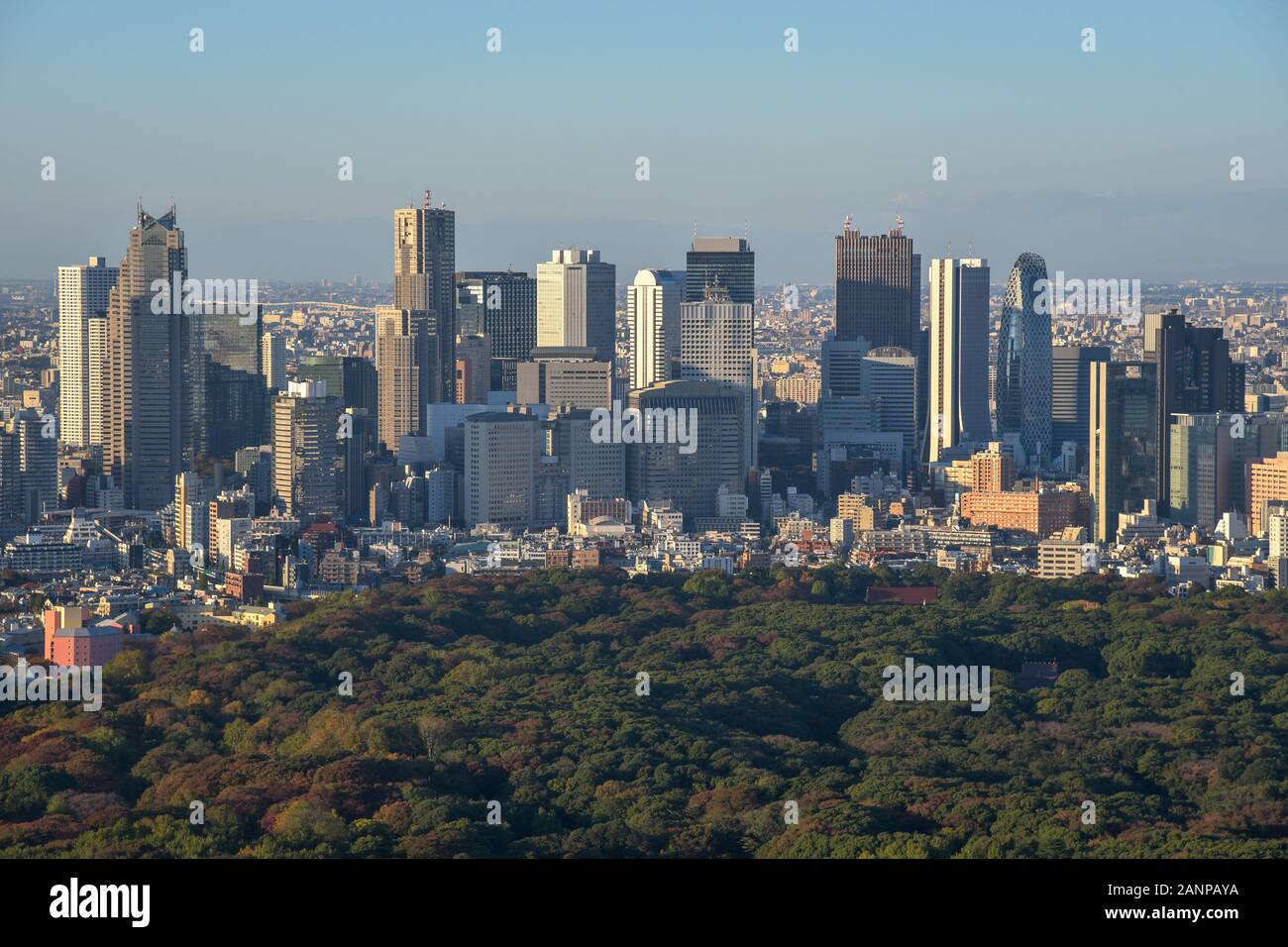 Landscape of Tokyo in Japan Stock Photo - Alamy