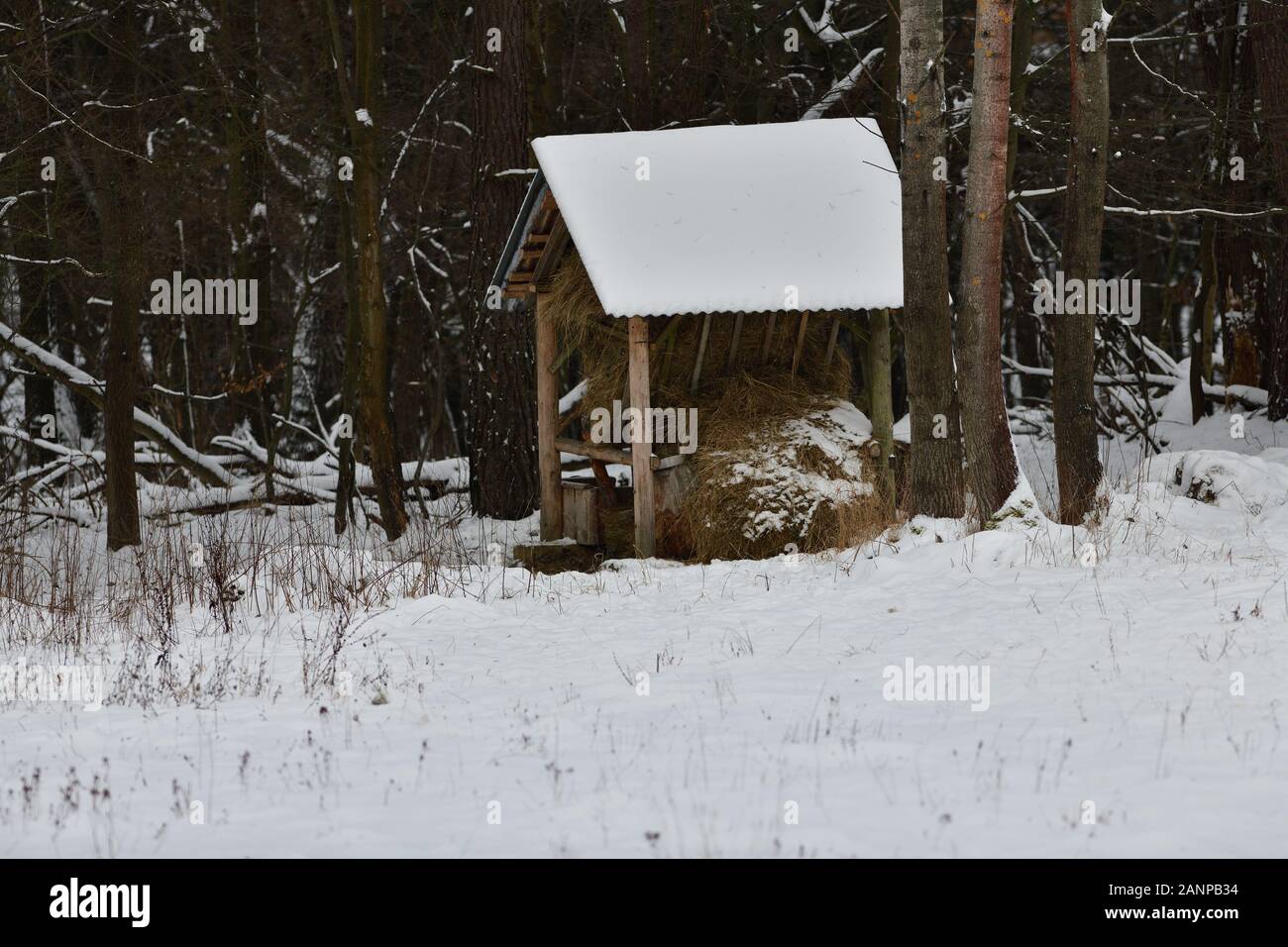 Spring fodder rack hi-res stock photography and images - Alamy