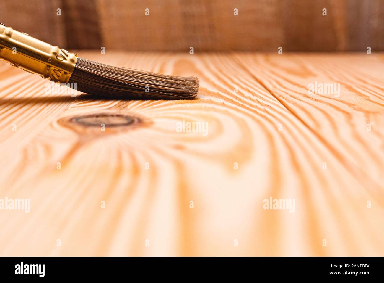 Brush for coating wood close-up. Stock photo of a construction brush ...