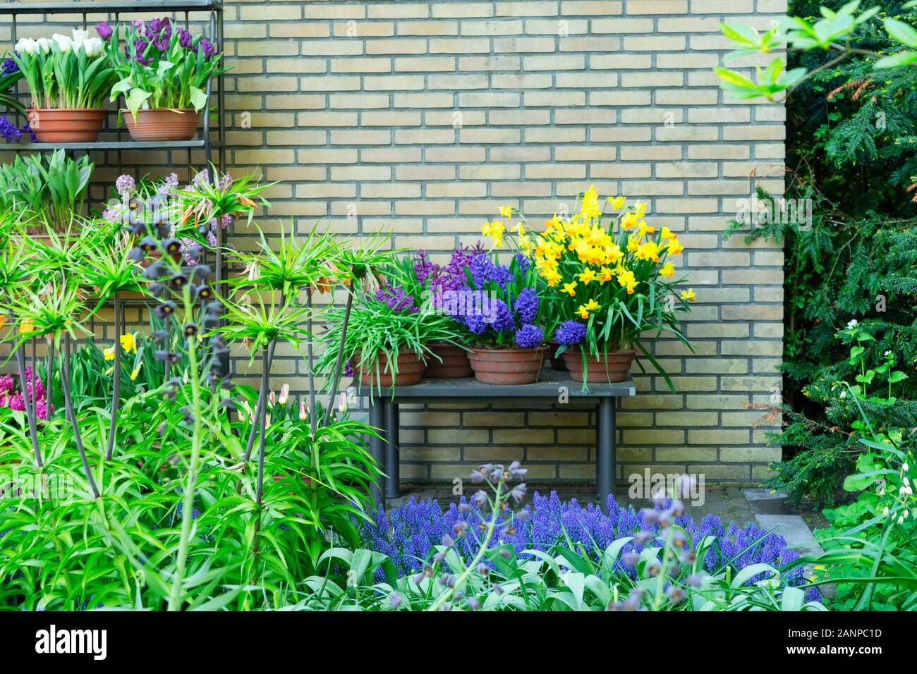 colorful flower shop Stock Photo - Alamy