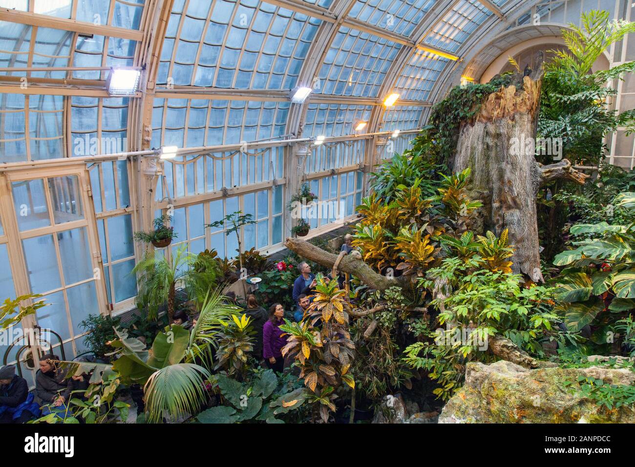 Schmetterling House, Butterfly Zoo, Vienna, Austria Stock Photo - Alamy
