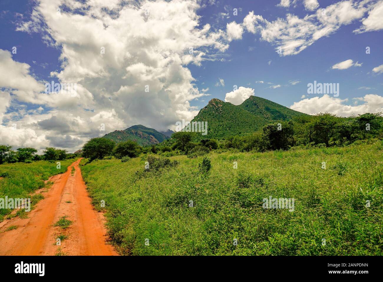 Landscape pictures from the National Park Tsavo East Tsavo West and ...
