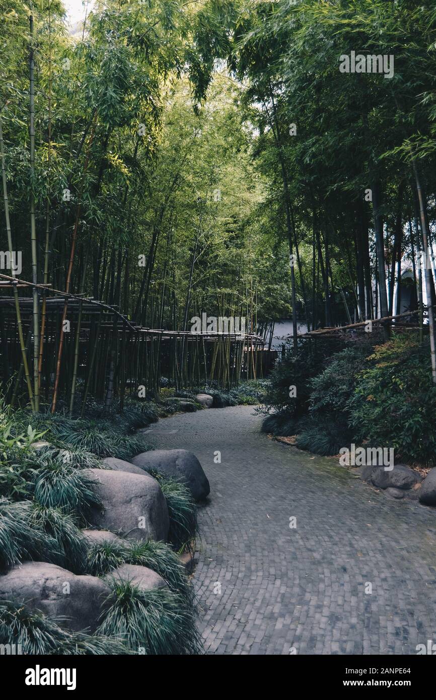 Path in Bamboo Garden Stock Photo - Alamy