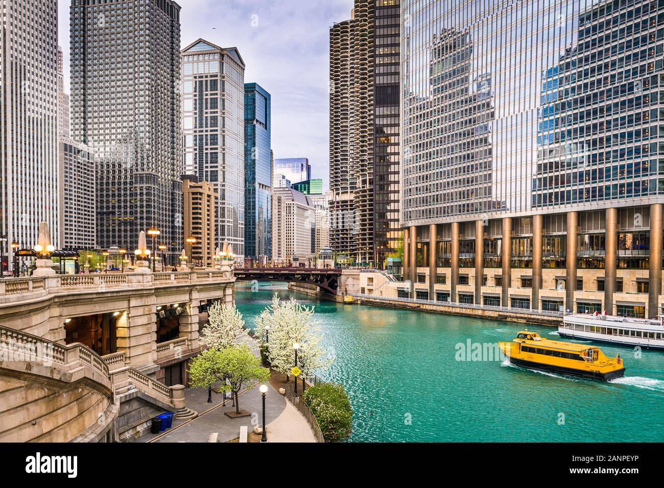 Chicago, Illinois, USA sightseeing cruise and skyline on the river ...