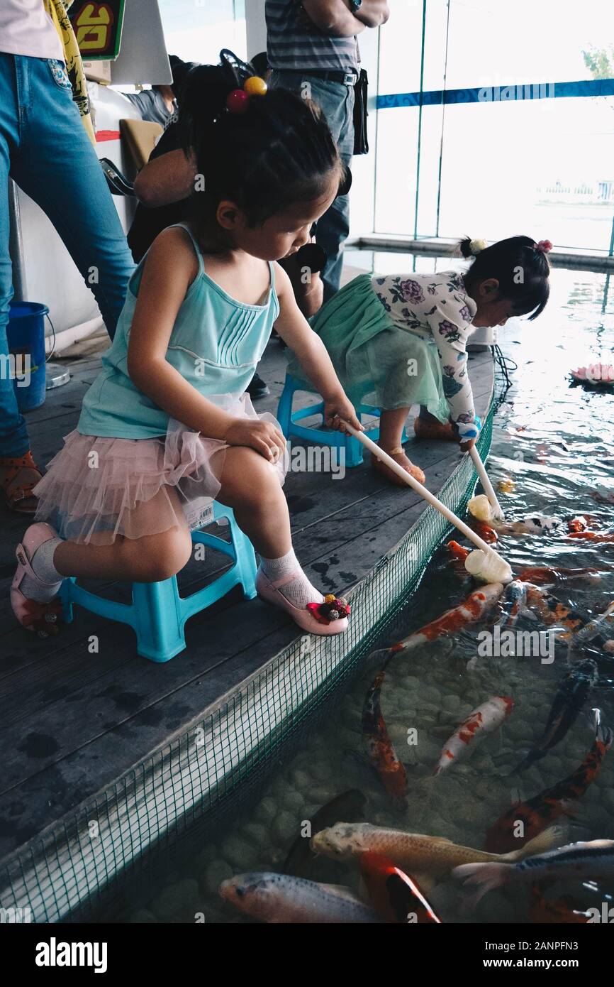 Boy aquarium feed fish hi-res stock photography and images - Alamy