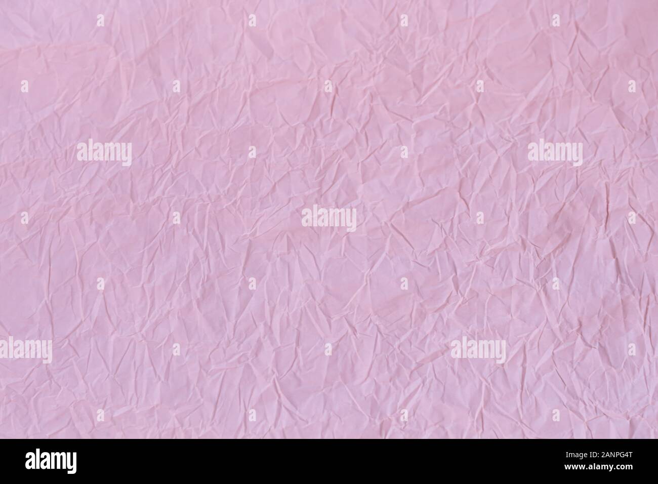 Background from pink crumpled wrapping paper. Congratulatory banner ...