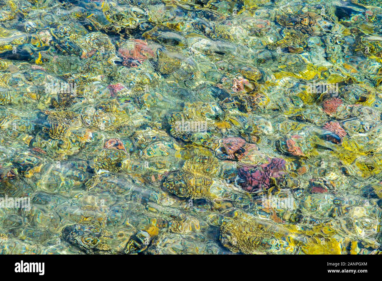 Coral reef. Clean sea. Sea vacation concept. Marine background Stock ...