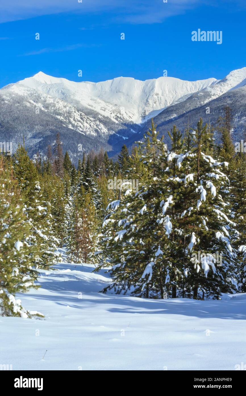 swan range in winter near condon, montana Stock Photo - Alamy