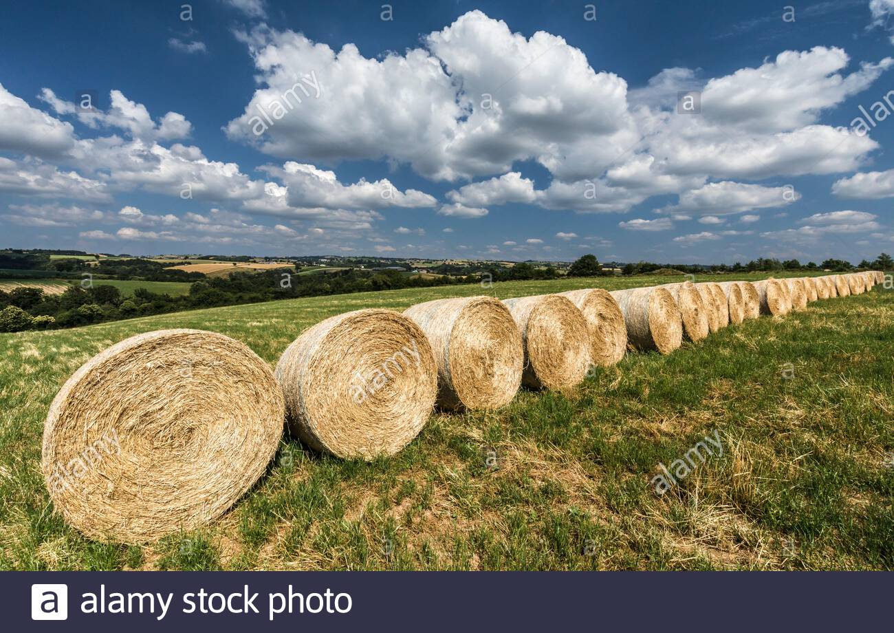 Haylage Bale Wrap High Resolution Stock Photography and Images - Alamy