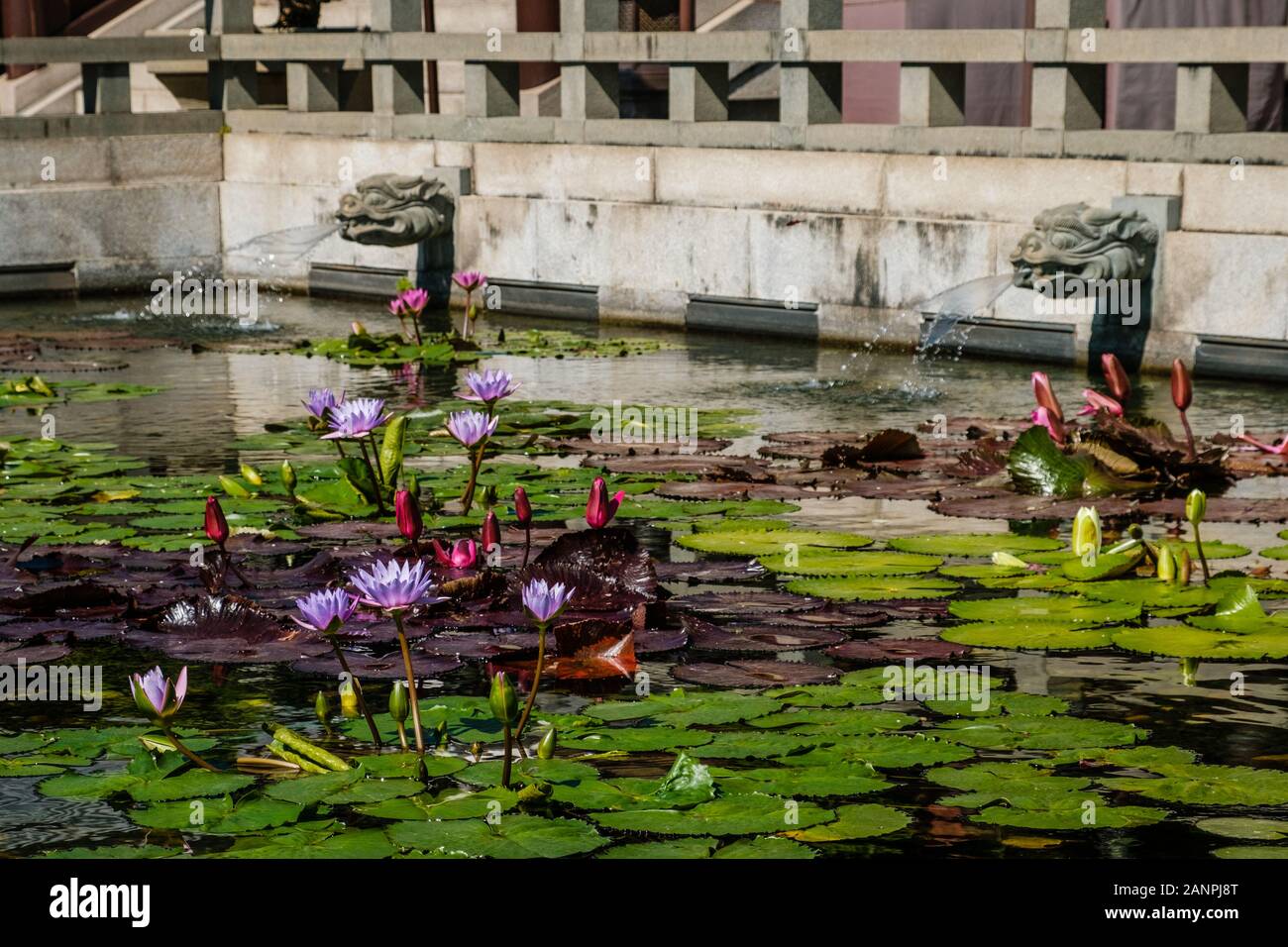 Lily Temple's Instagram, Twitter & Facebook on IDCrawl