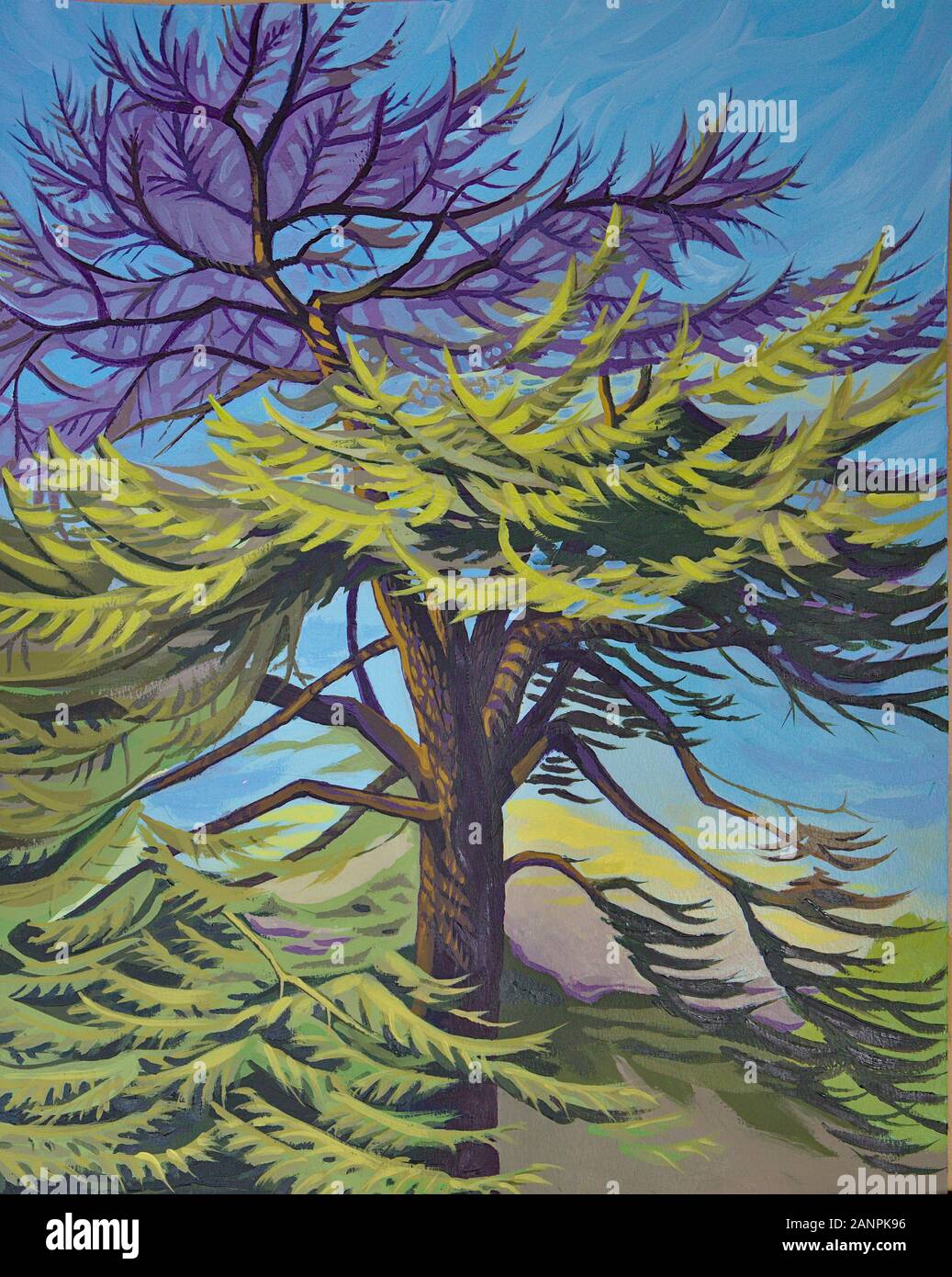 Acrylic and Oil colourful portrait of cedar tree Stock Photo - Alamy