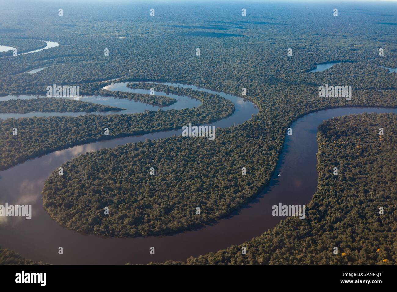 View of the Amazon River from an airplane, dense tropical forest ...