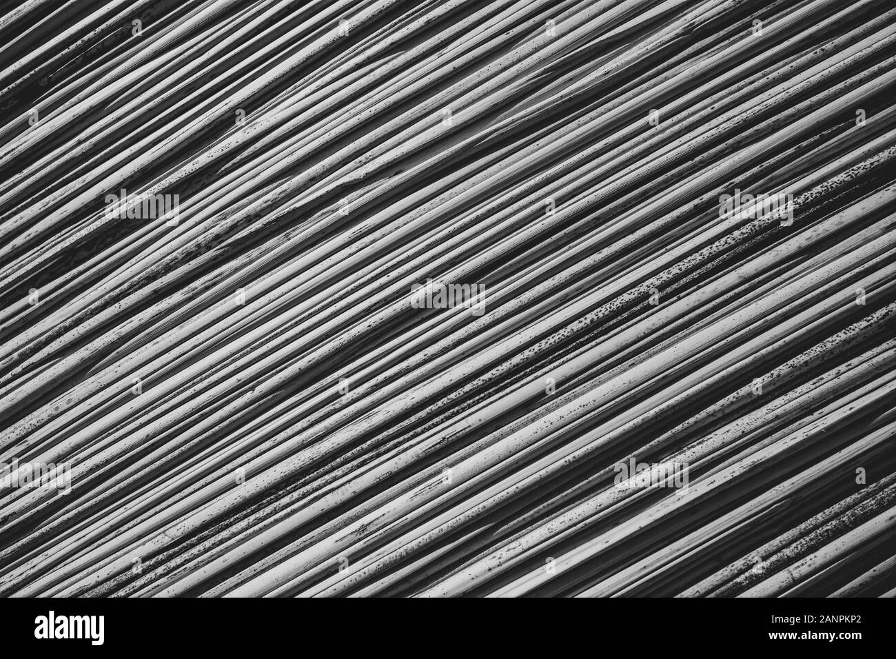 Background with cane, diagonal, horizontal orientation, close-up, copy ...