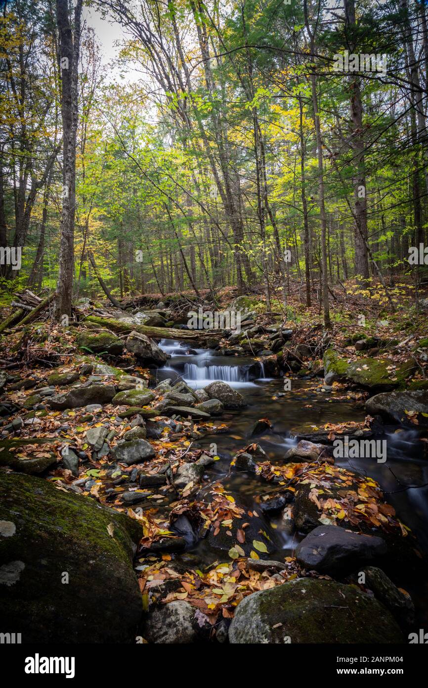 Water stream - Long exposure Stock Photo - Alamy