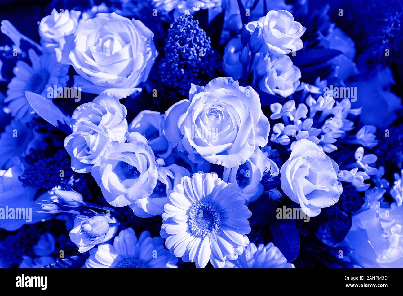 Pantone branches hi-res stock photography and images - Alamy