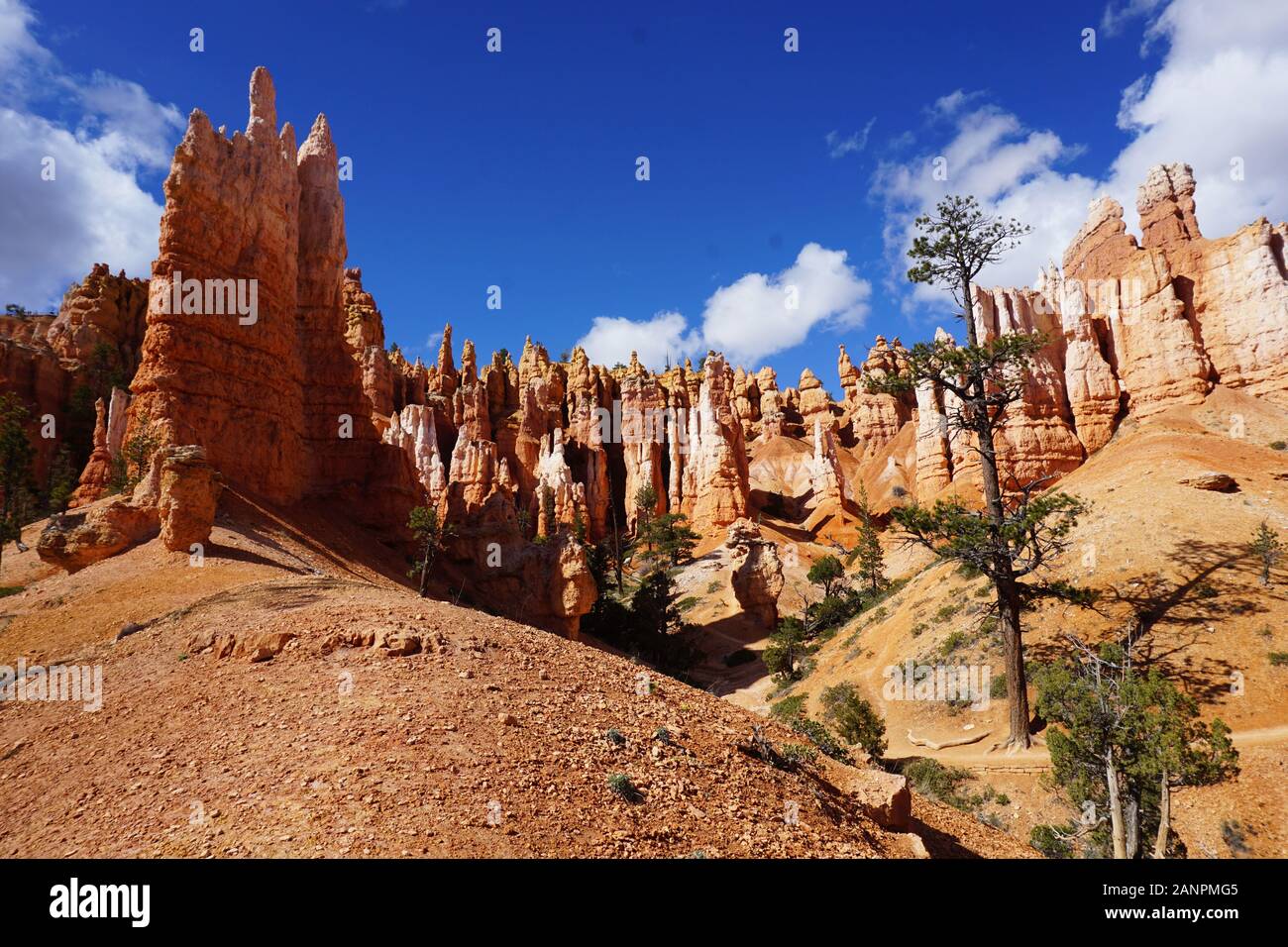 Rock formation in bryce canyon Stock Photo - Alamy