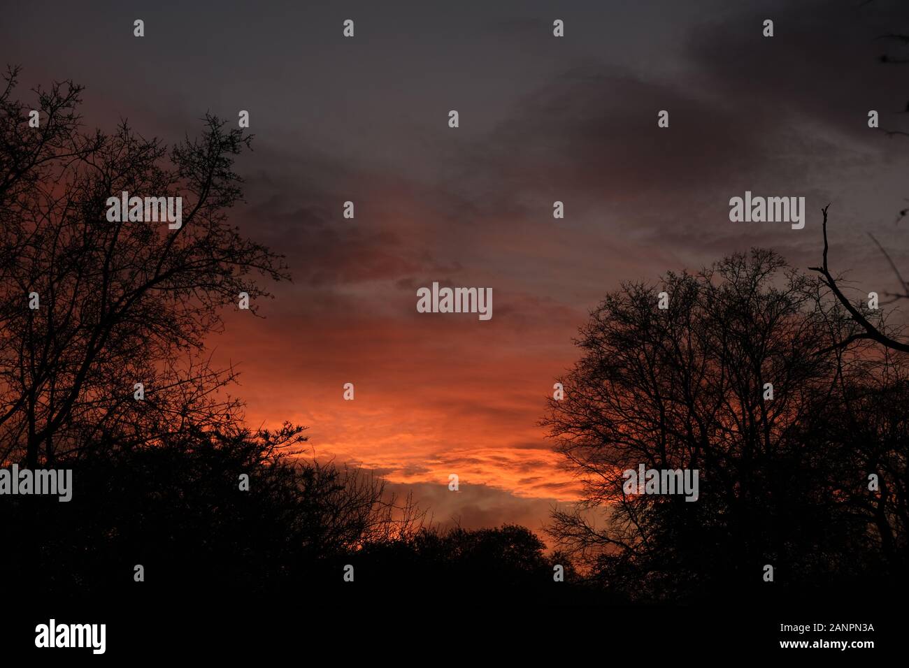Bushcamp hi-res stock photography and images - Alamy