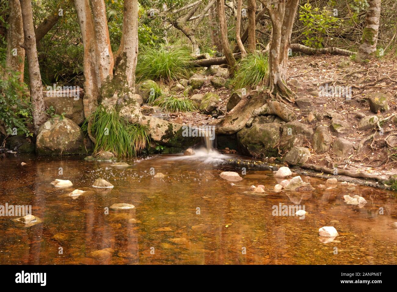 Botanical water flow hi-res stock photography and images - Alamy