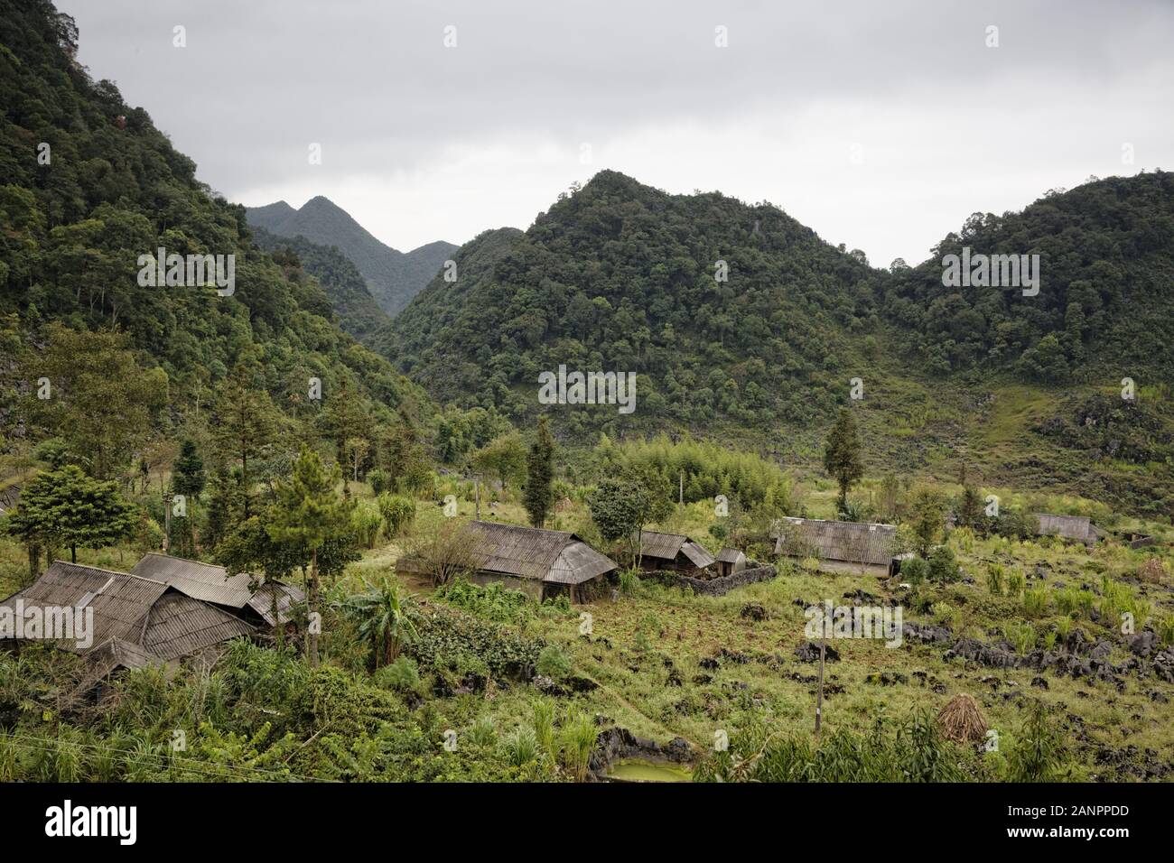 karst hills on the Dong Van Karst Plateau (Dong Van Karst Plateau ...
