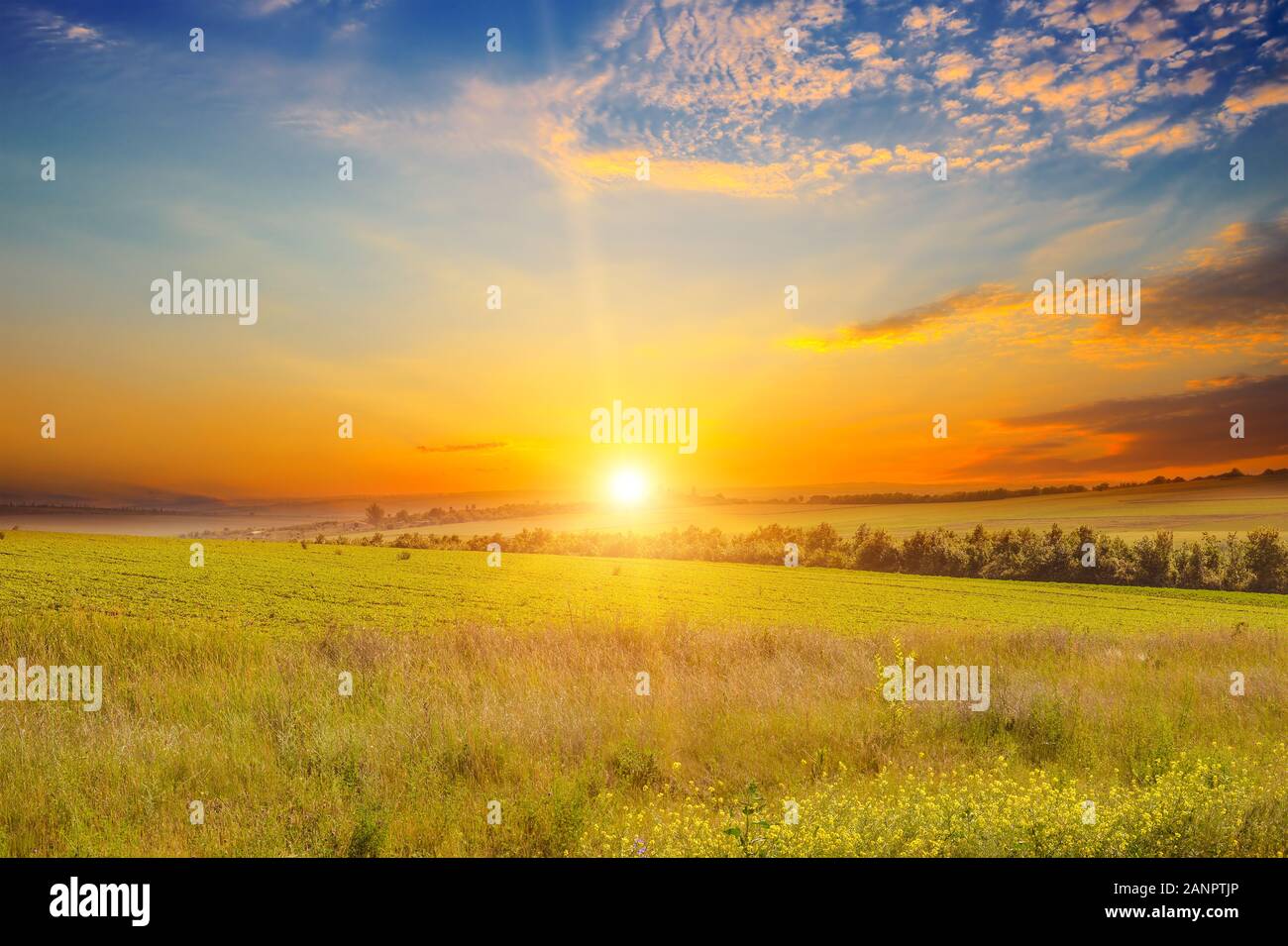 Wide landscape of green field and epic sunset Stock Photo - Alamy
