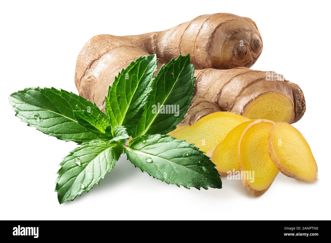 Ginger root with fresh mint leaves, isolated Stock Photo - Alamy