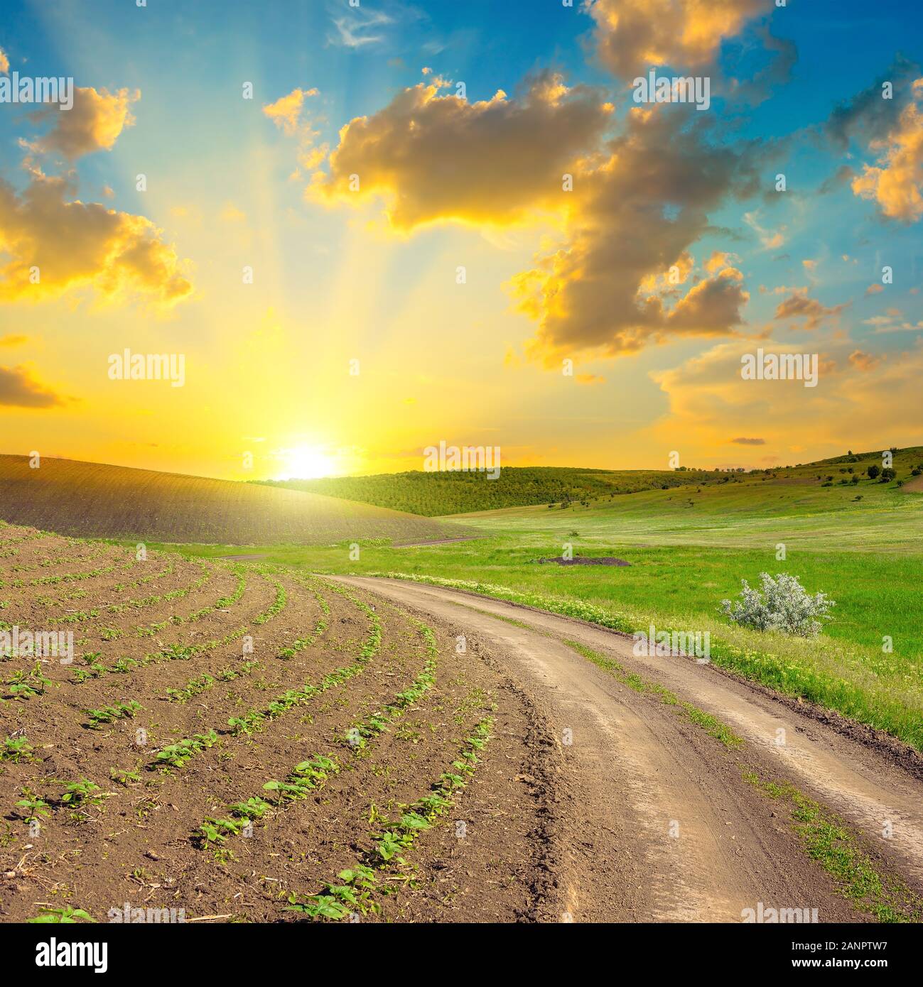 Empty dirt road light sunset hi-res stock photography and images - Alamy
