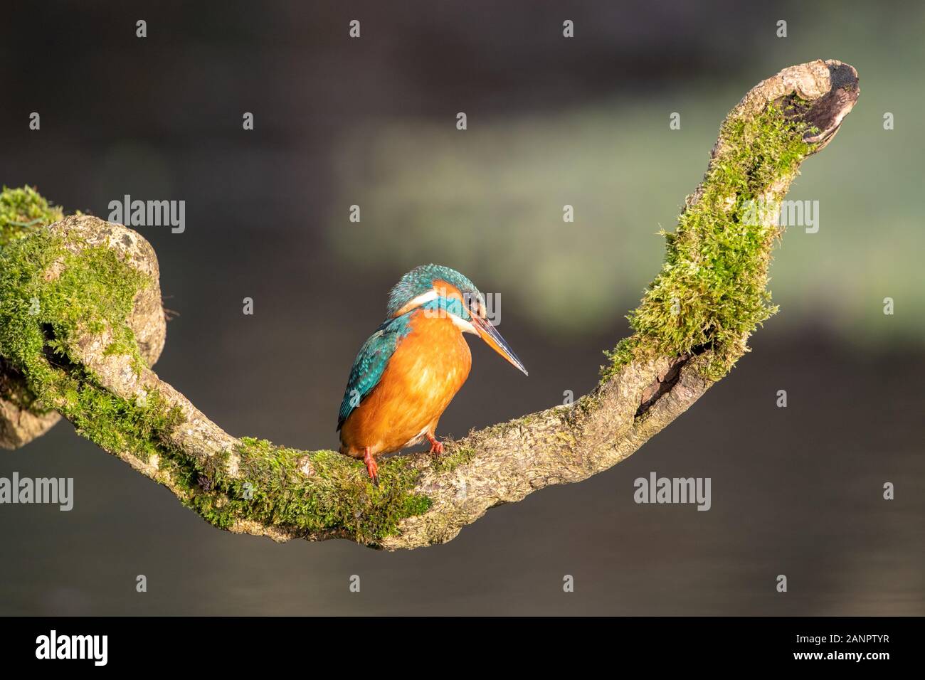 Workld hi-res stock photography and images - Alamy