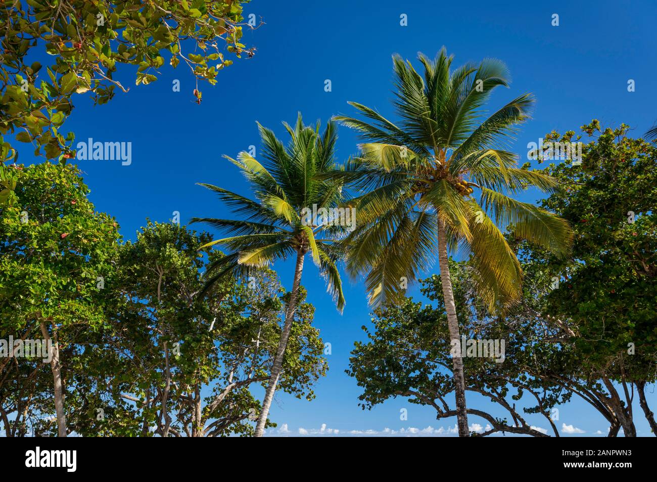 The Be Live Collection Marien Resort in Puerto Plata, Dominican ...