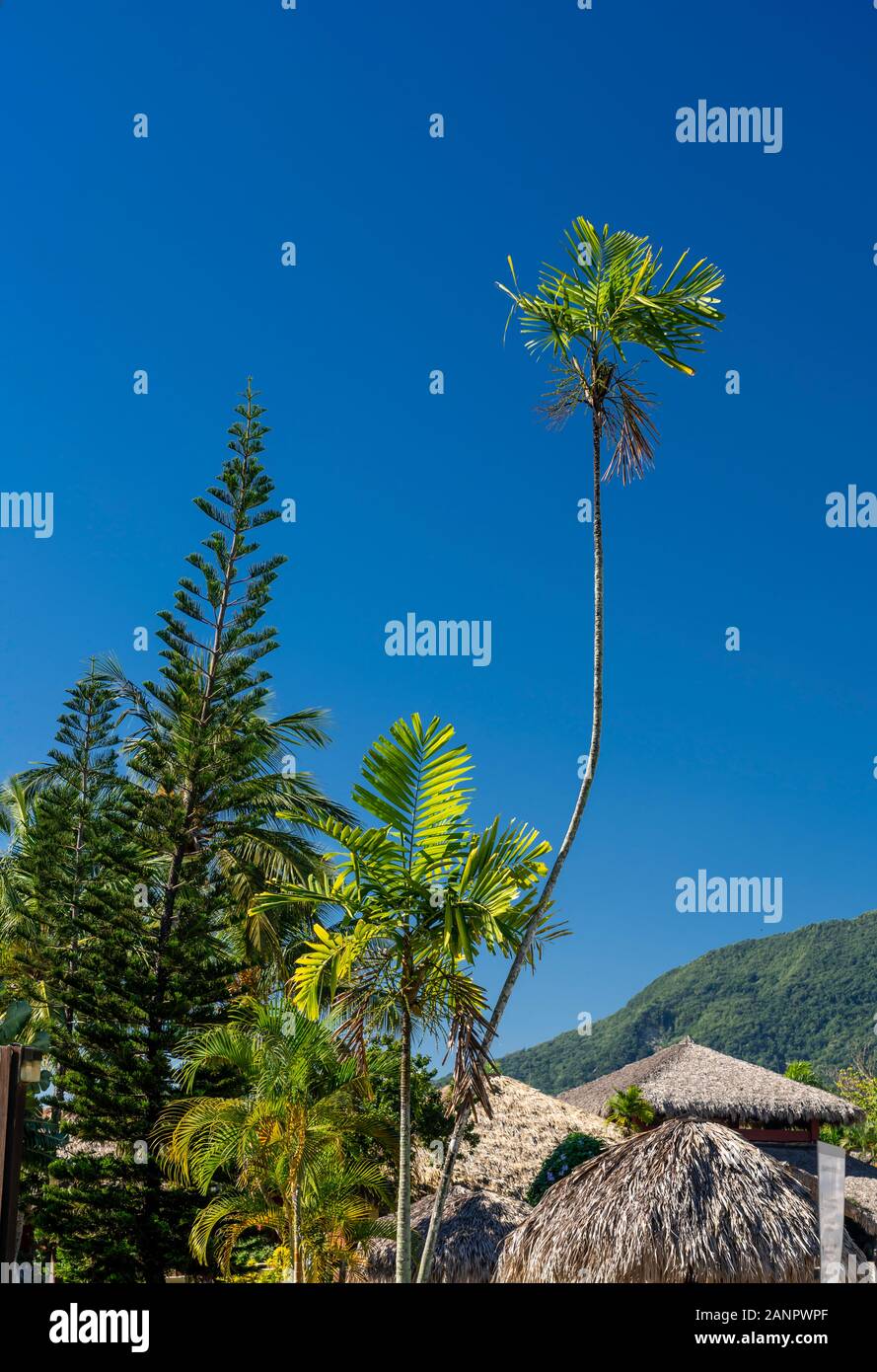 The Be Live Collection Marien Resort in Puerto Plata, Dominican ...