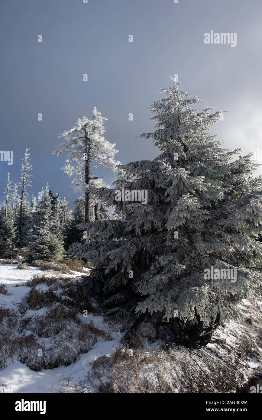 Nationalpark harz brocken hi-res stock photography and images - Alamy