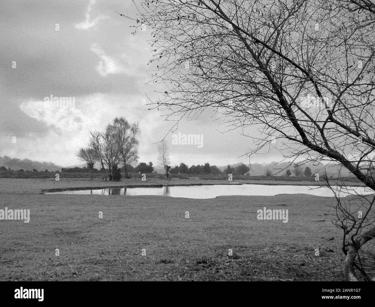 Fritham common hi-res stock photography and images - Alamy