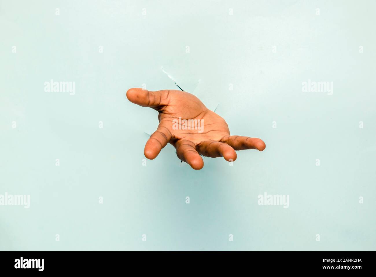 Black Person Palm