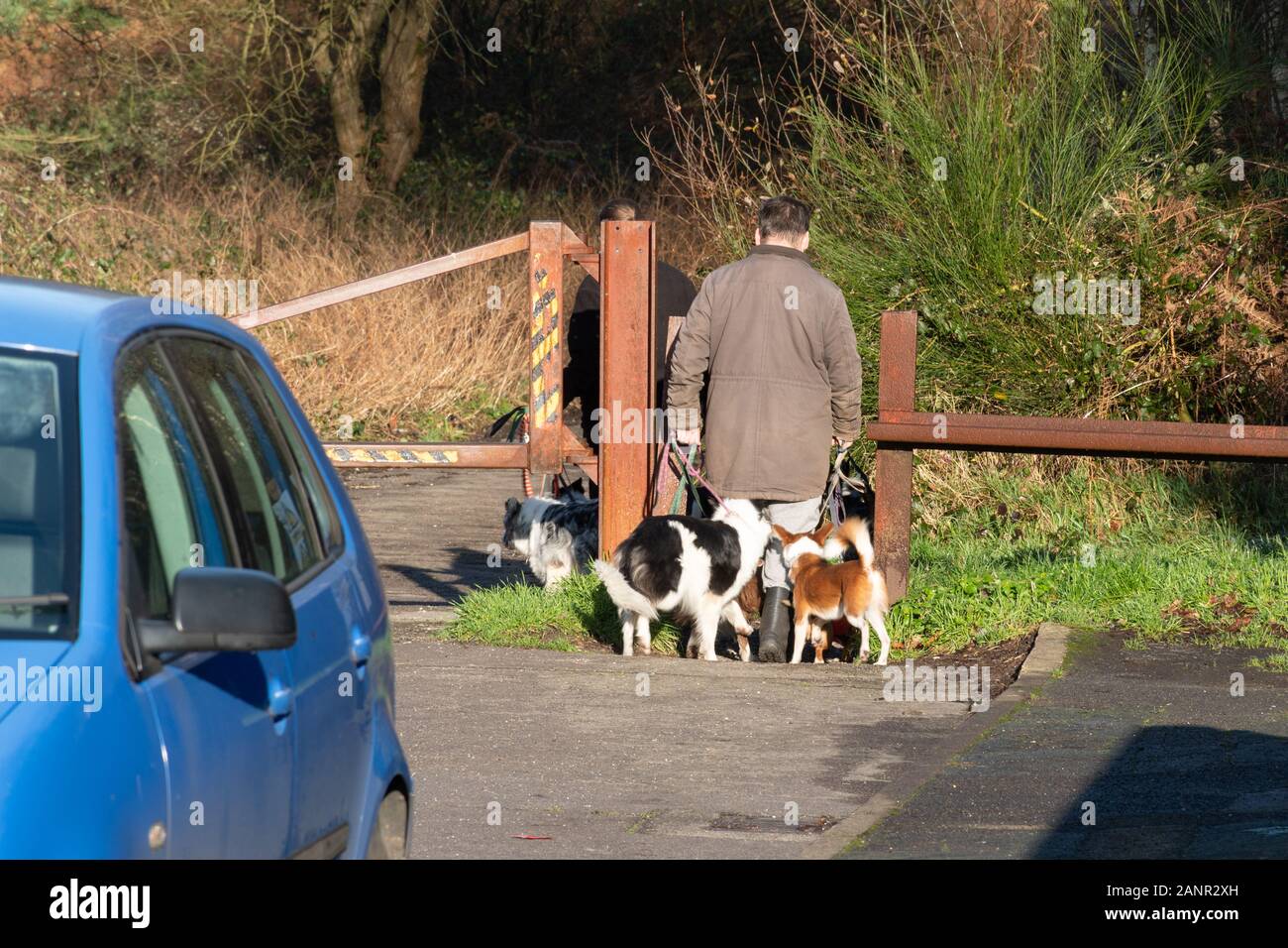 Going through a gate hi-res stock photography and images - Alamy