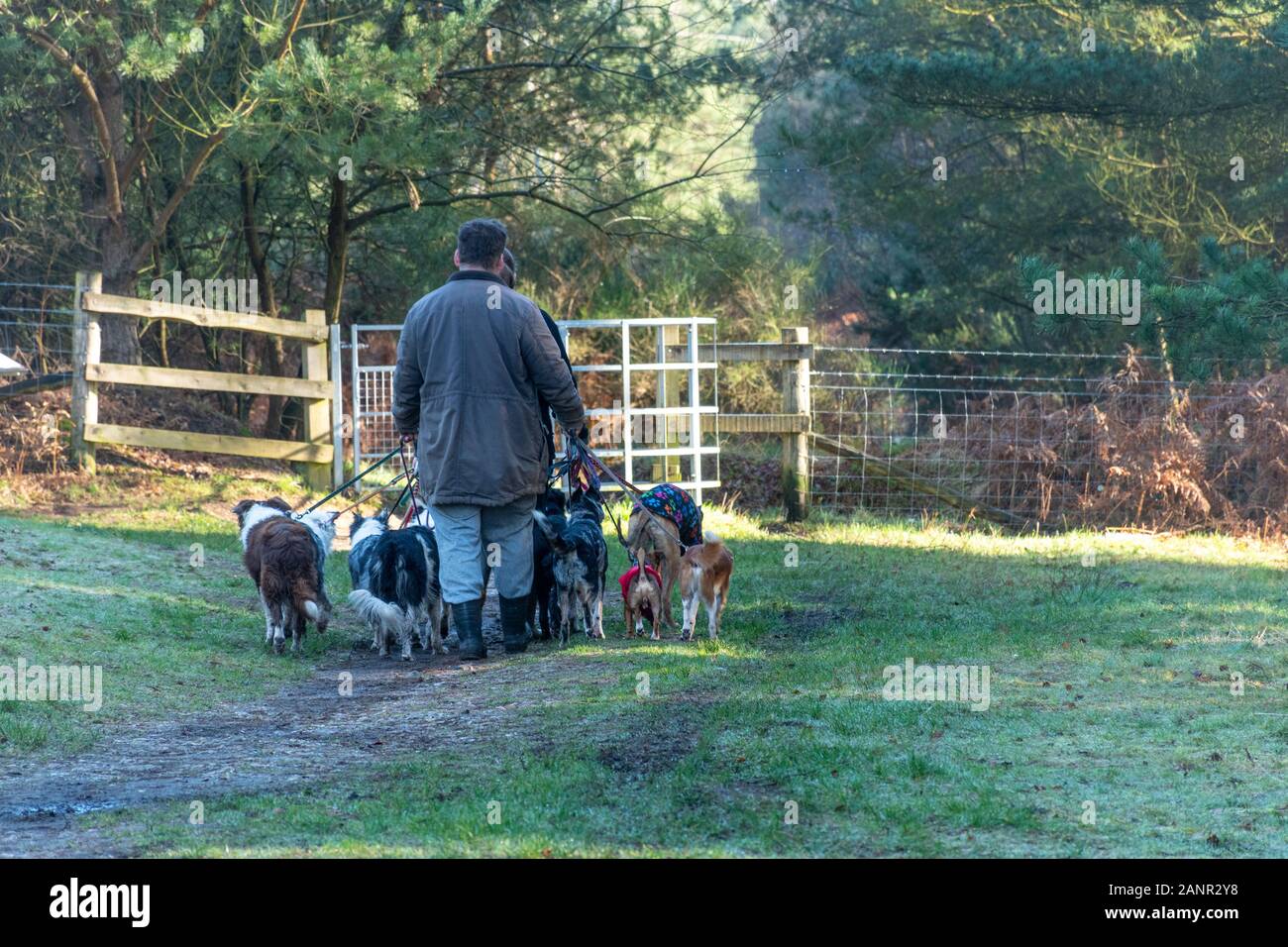 Walkers walker walking hi-res stock photography and images - Alamy