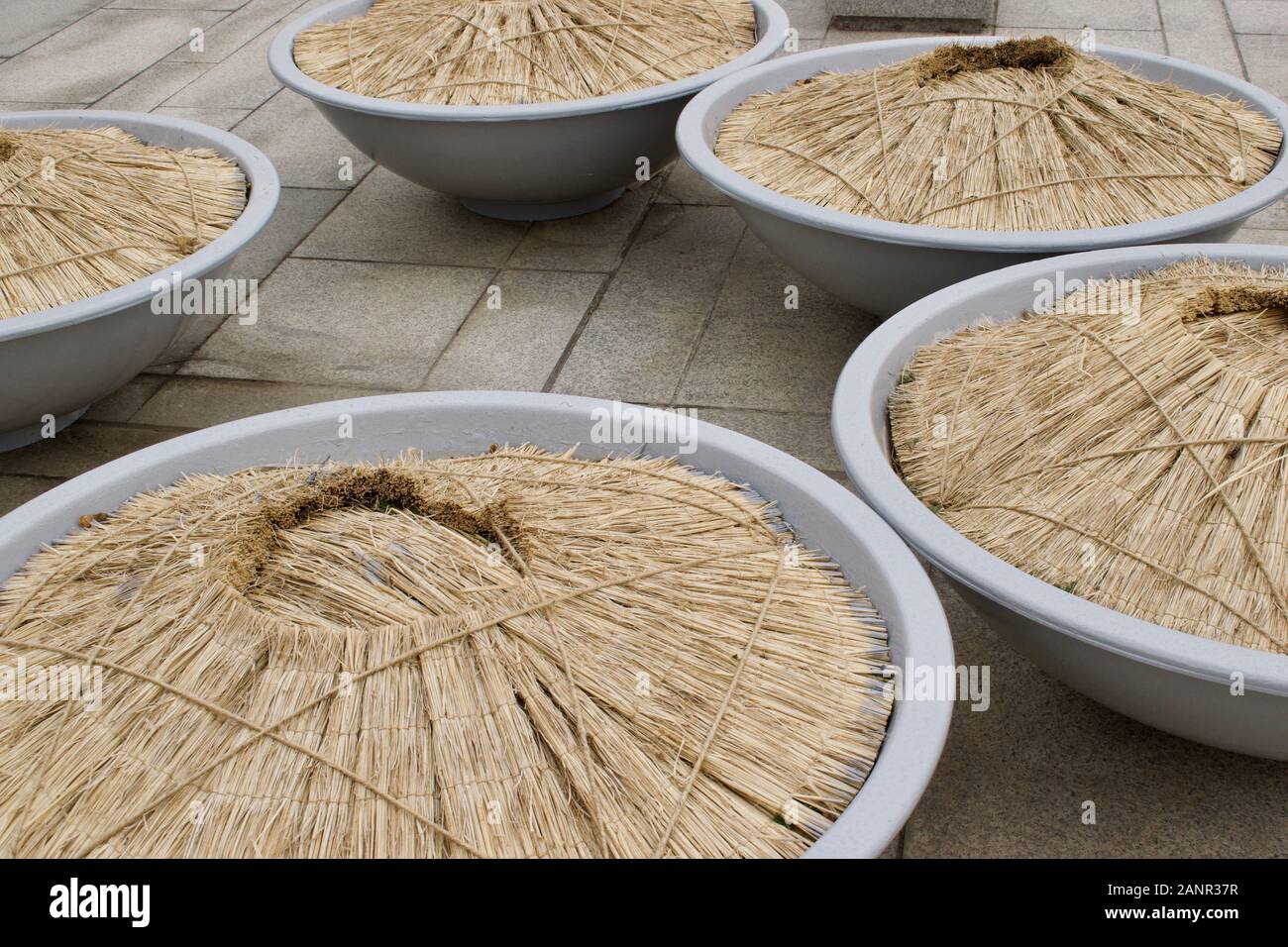 Straw art hi-res stock photography and images - Alamy