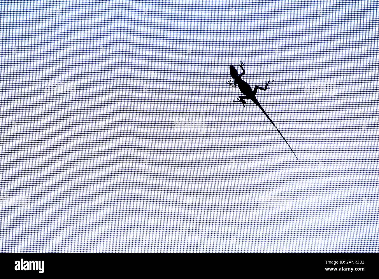 Mosquito islands hi-res stock photography and images - Alamy