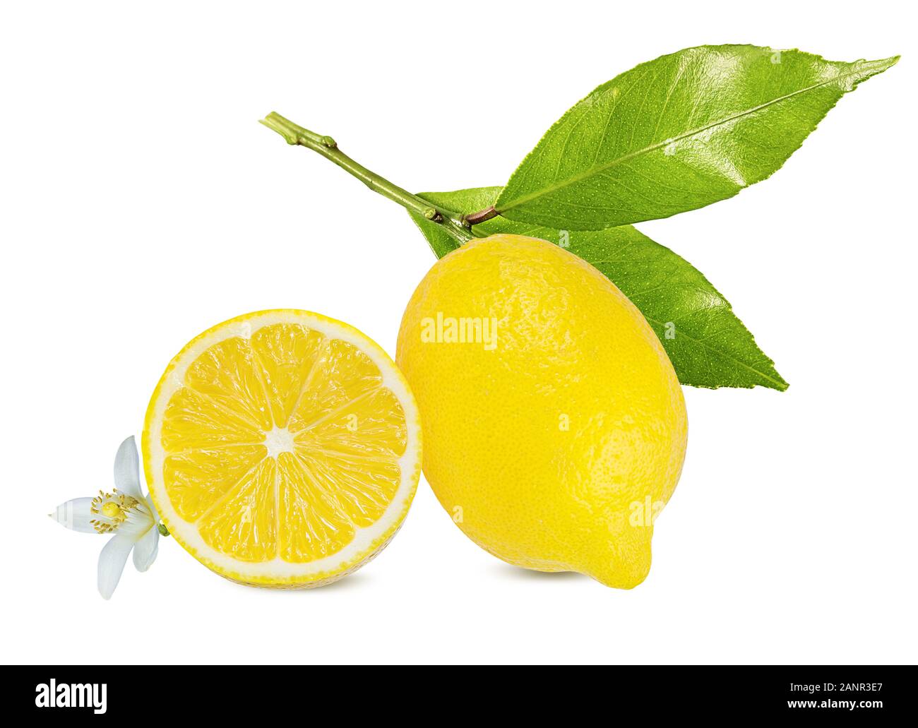 lemon isolated on white background Stock Photo - Alamy