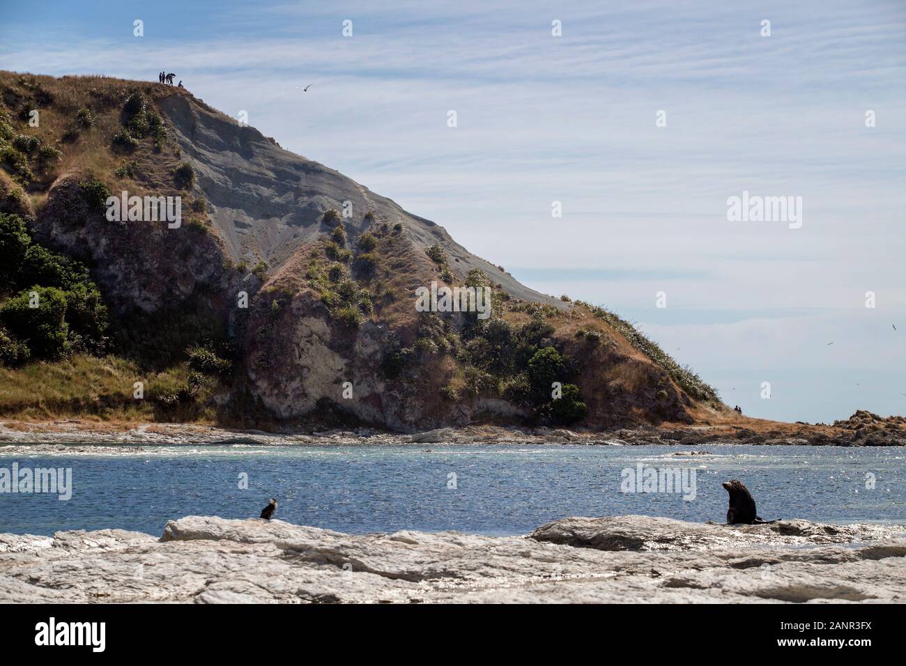 Kaikoura new zealand hi-res stock photography and images - Alamy