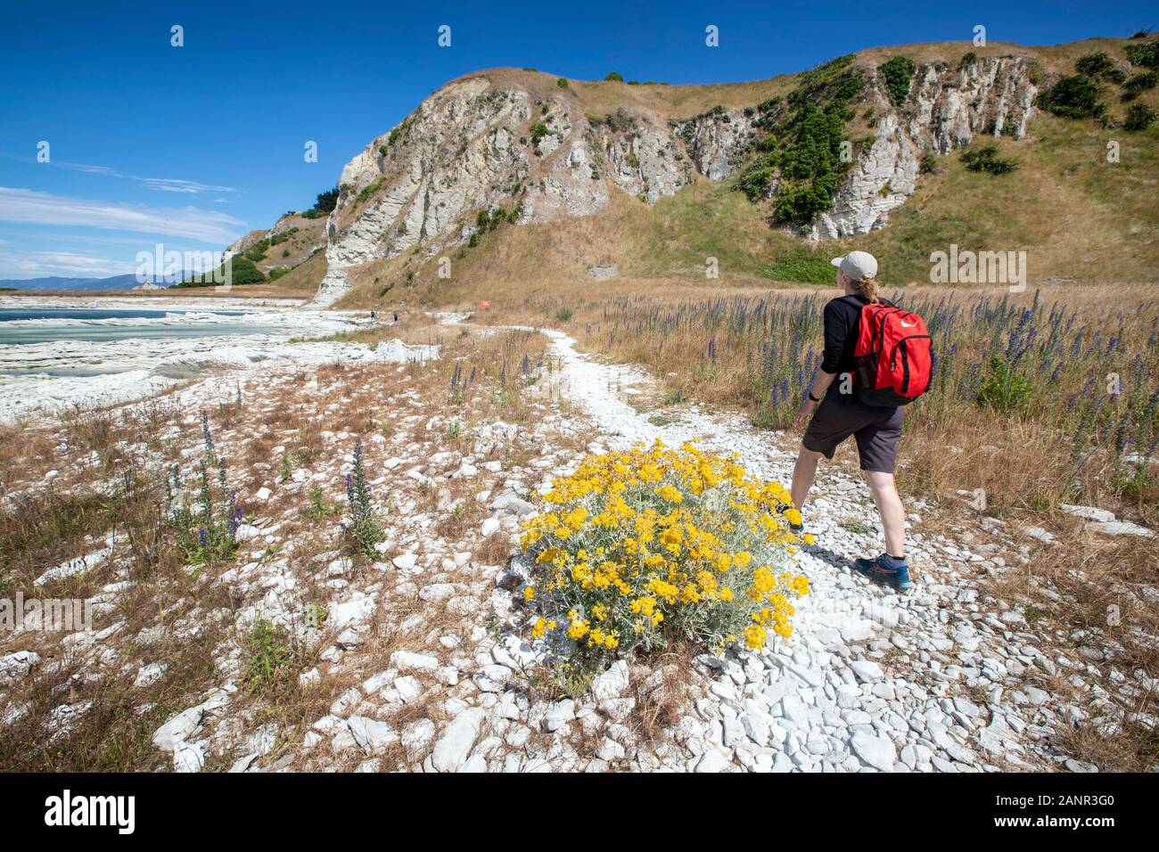 Uplift High Resolution Stock Photography and Images - Alamy