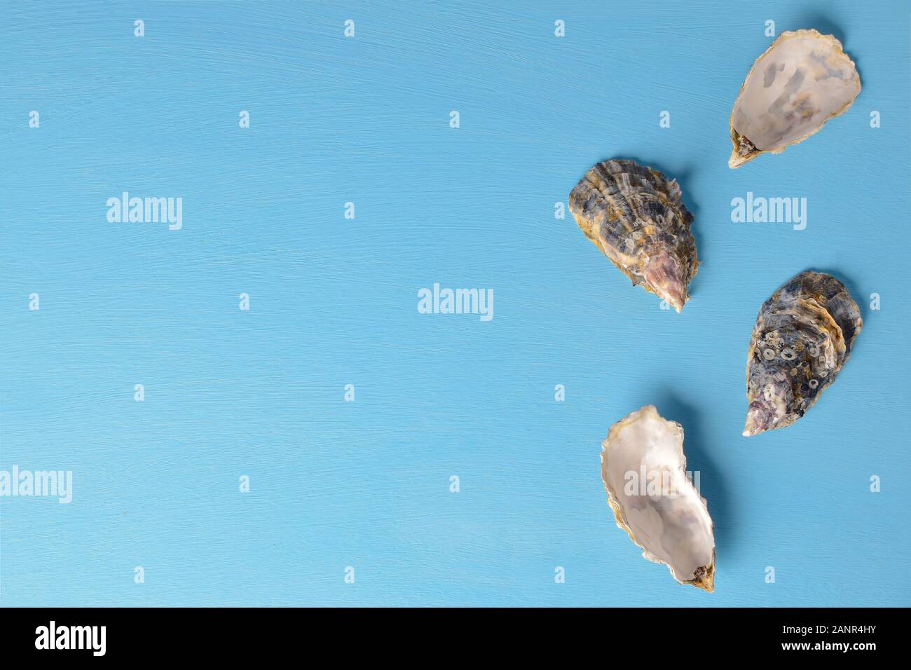 Oyster shell texture hi-res stock photography and images - Alamy
