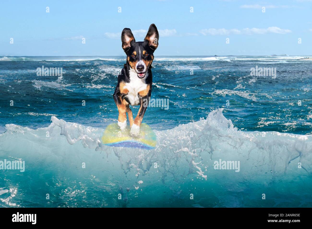 Wave and beach vector hi-res stock photography and images - Alamy