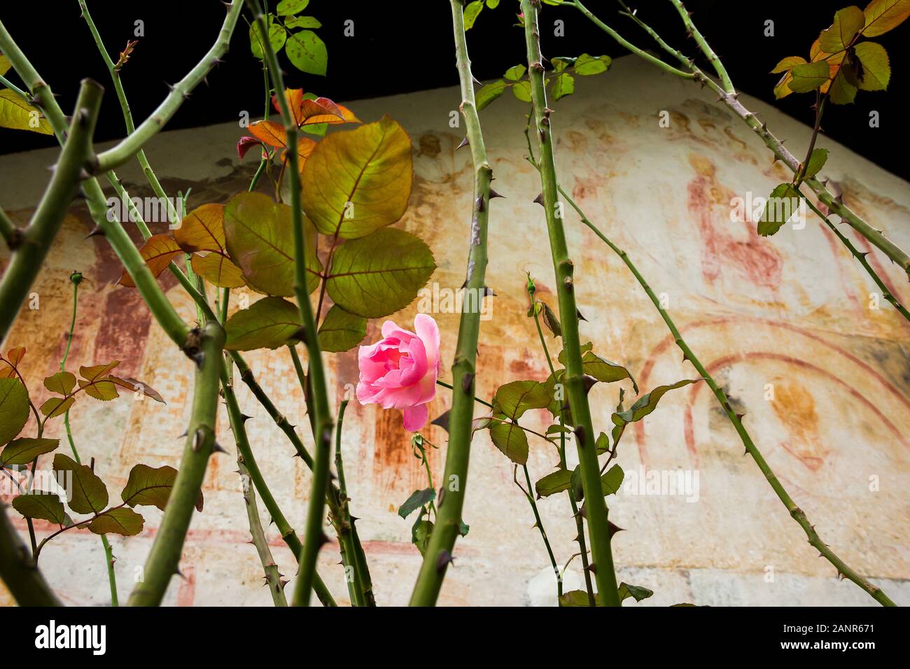 the Saint Nicholas of Myra church in Serbian Orthodox monastery ...