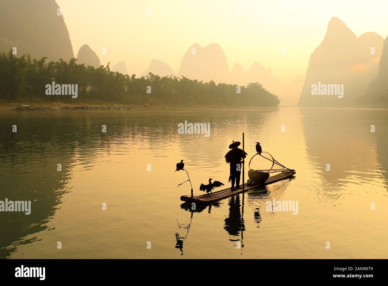 Silhouette of Two Fishing Men and His Cormorants on Li River at Sunrise ...