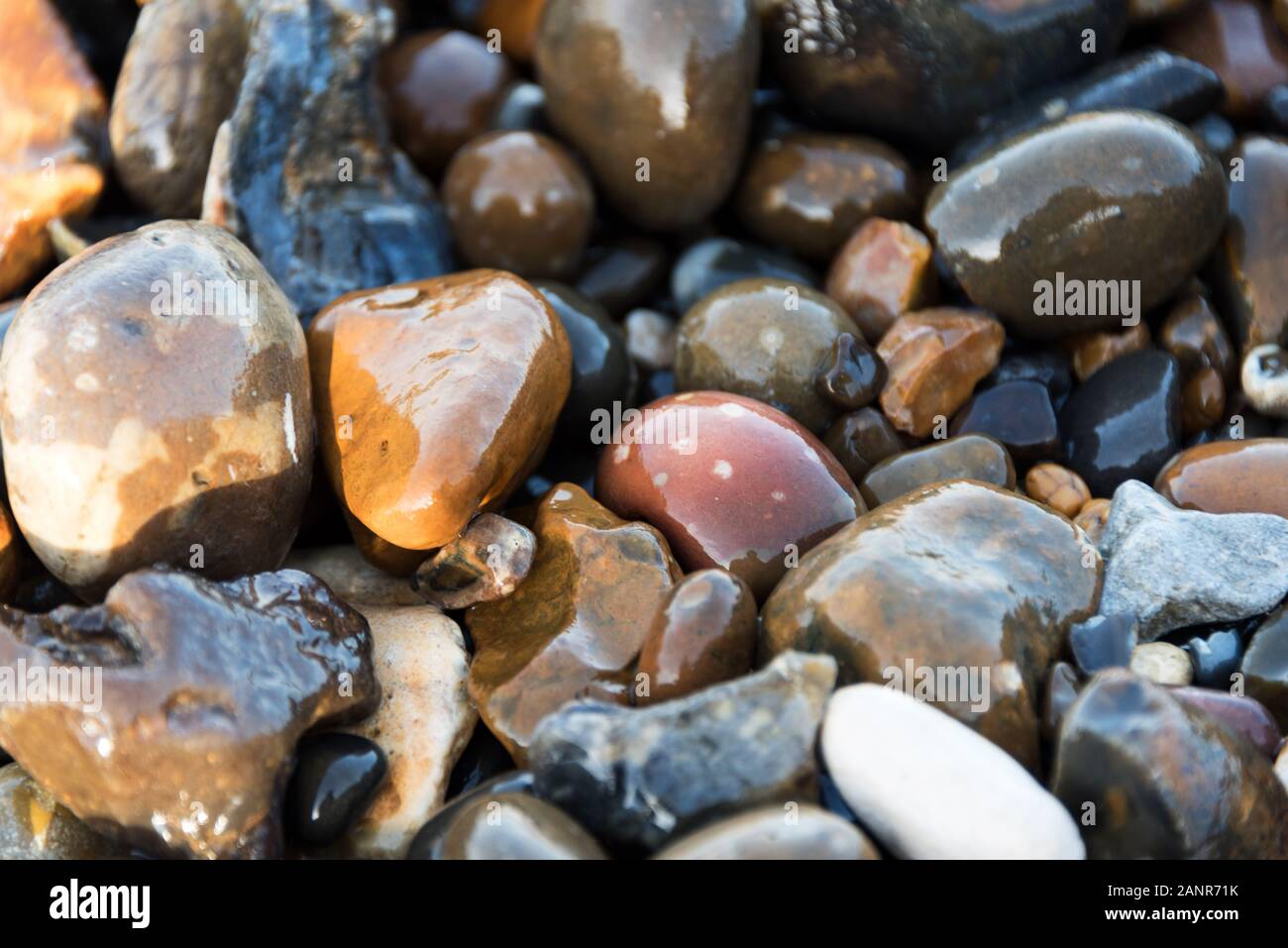 Wet river stones hi-res stock photography and images - Alamy