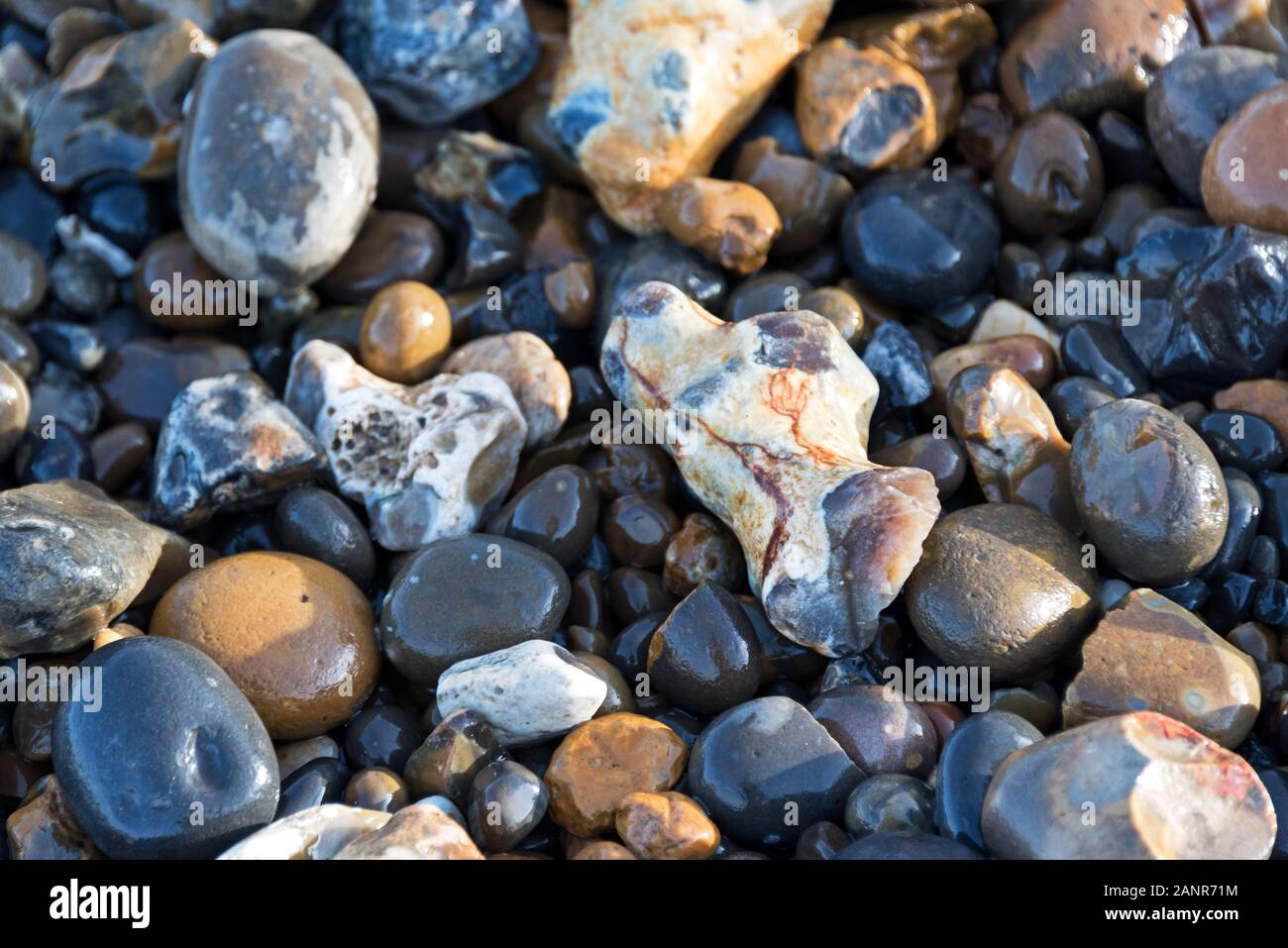 Close up of pebbles and flint nodules on the Thames foreshore ...