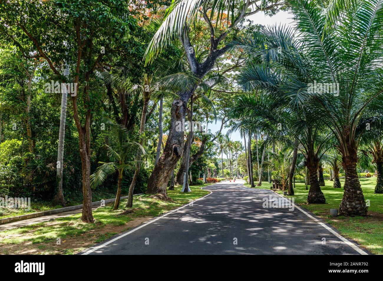 Green pathways at Nusa Dua area, Bali, Indonesia Stock Photo - Alamy