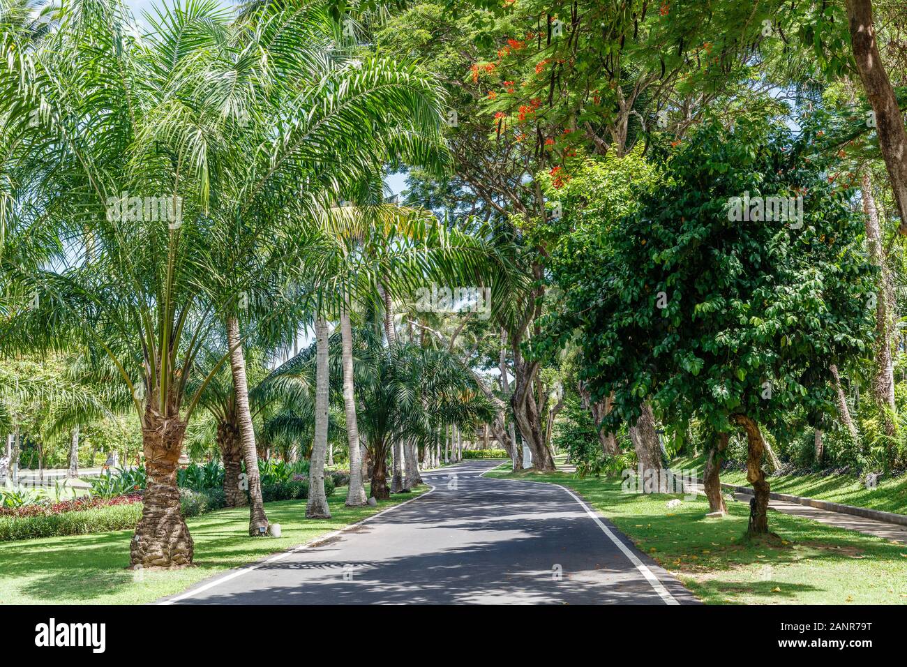 Green pathways hi-res stock photography and images - Alamy